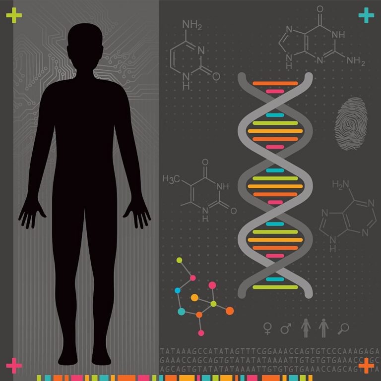 What is Bioinformatics & How it is Used in Medicine?